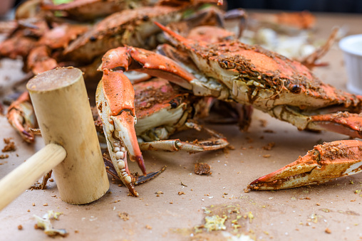 How to Host a Mosquito-Free Backyard Crab Feast in Huntingtown ...