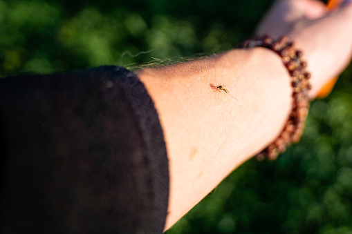 What Mosquitoes Can Tell Us About Your Blood Type - Mosquito Sheriff of ...
