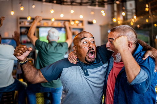 Football Season and Mosquitoes: Keep Game Day Bug-Free - Mosquito Sheriff